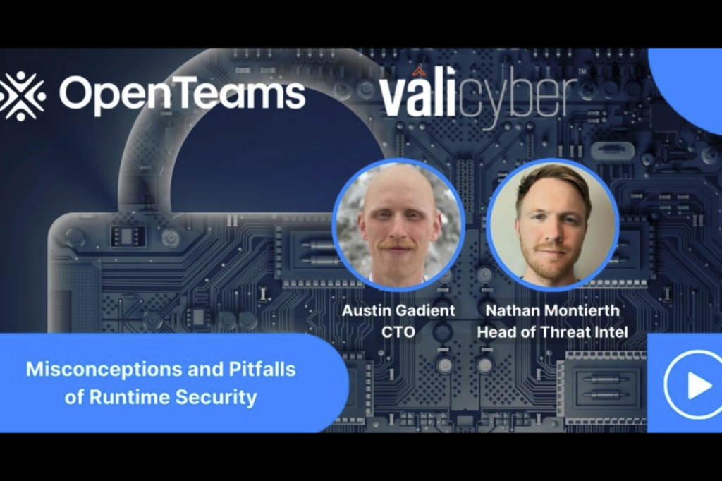 Webinar: Misconceptions and Pitfalls of Runtime Security - Vali Cyber