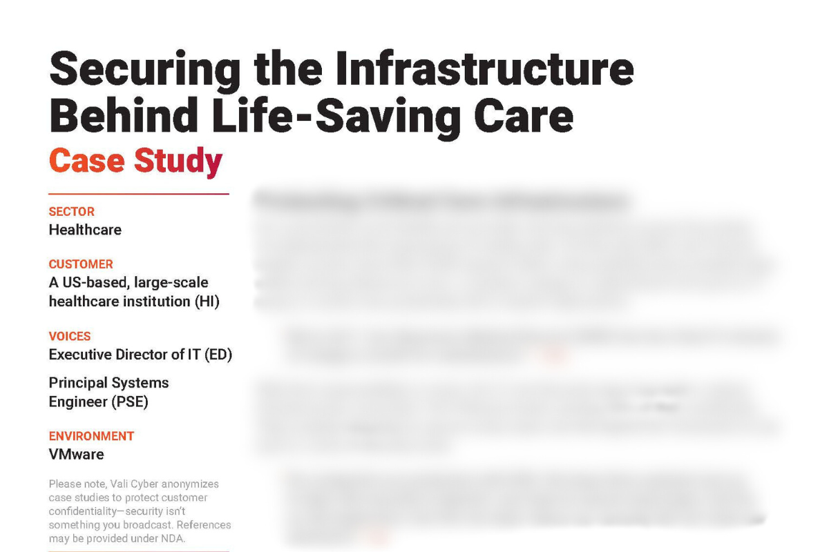 Case Study: Healthcare - Vali Cyber